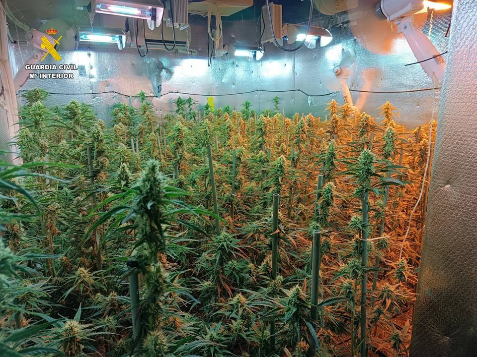 El gasto excesivo de electricidad permite descubrir una plantación de marihuana en un chalet de ...